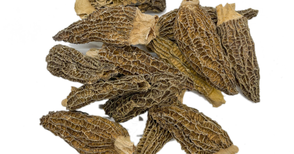 Dried Morels